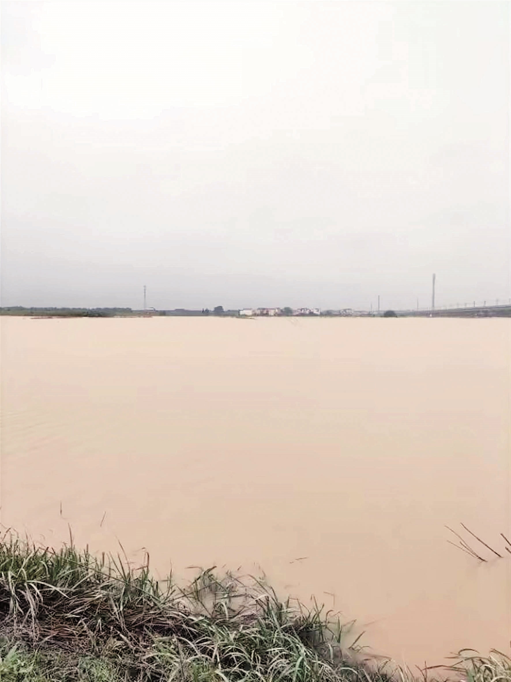 江西丰城河堤溃口惊魂36小时大水清晨来敲门有农户百亩稻田毁于一旦