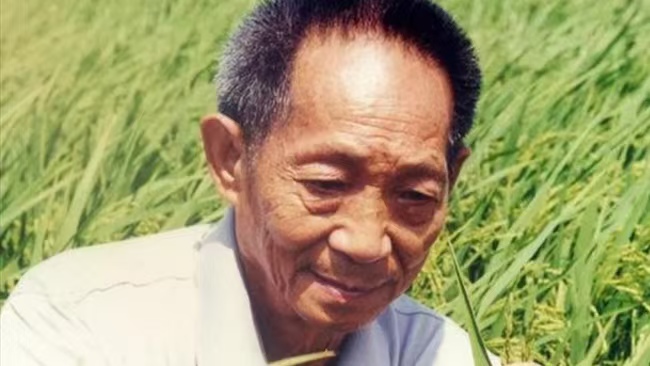杂交水稻之父袁隆平院士逝世三周年 一起重温袁老的故事