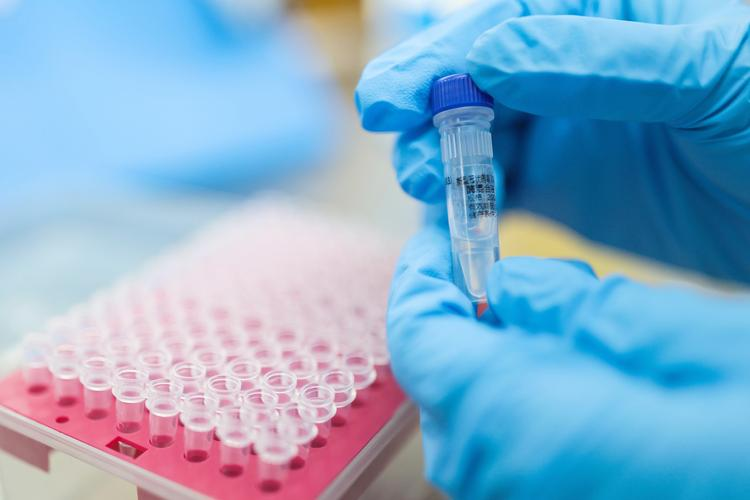 PCR在临床检验中是如何应用的