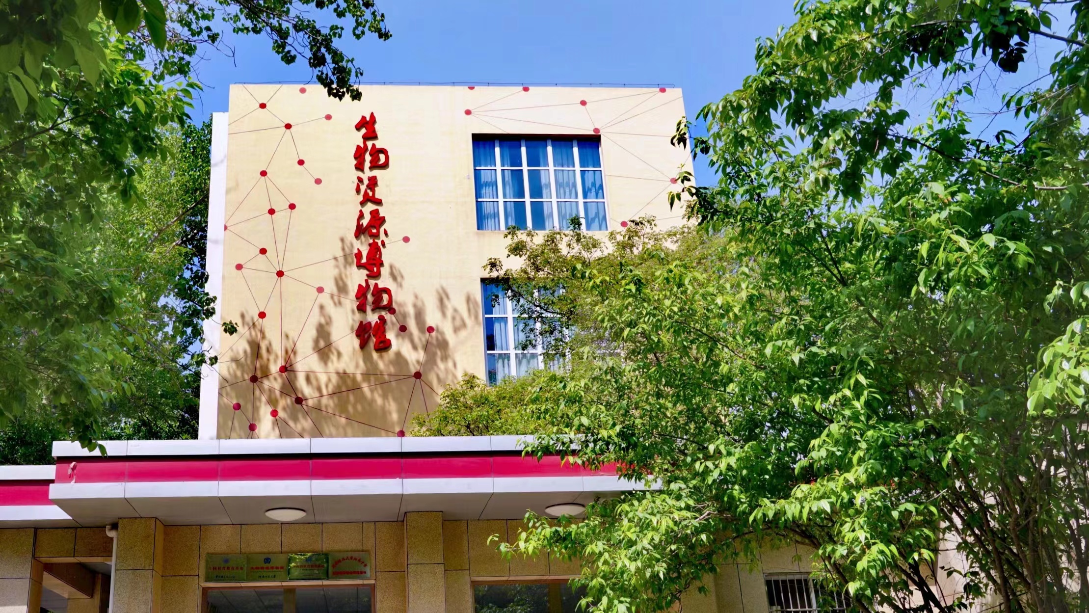 近期热门-大象网